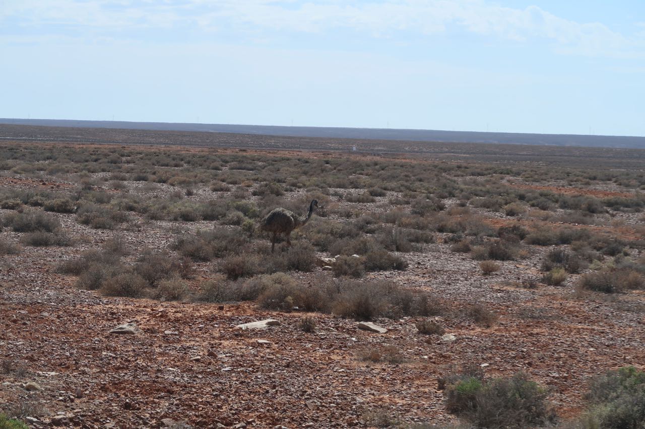 Glendambo Roadhouse, South Australia to Wudinna, South Australia ...