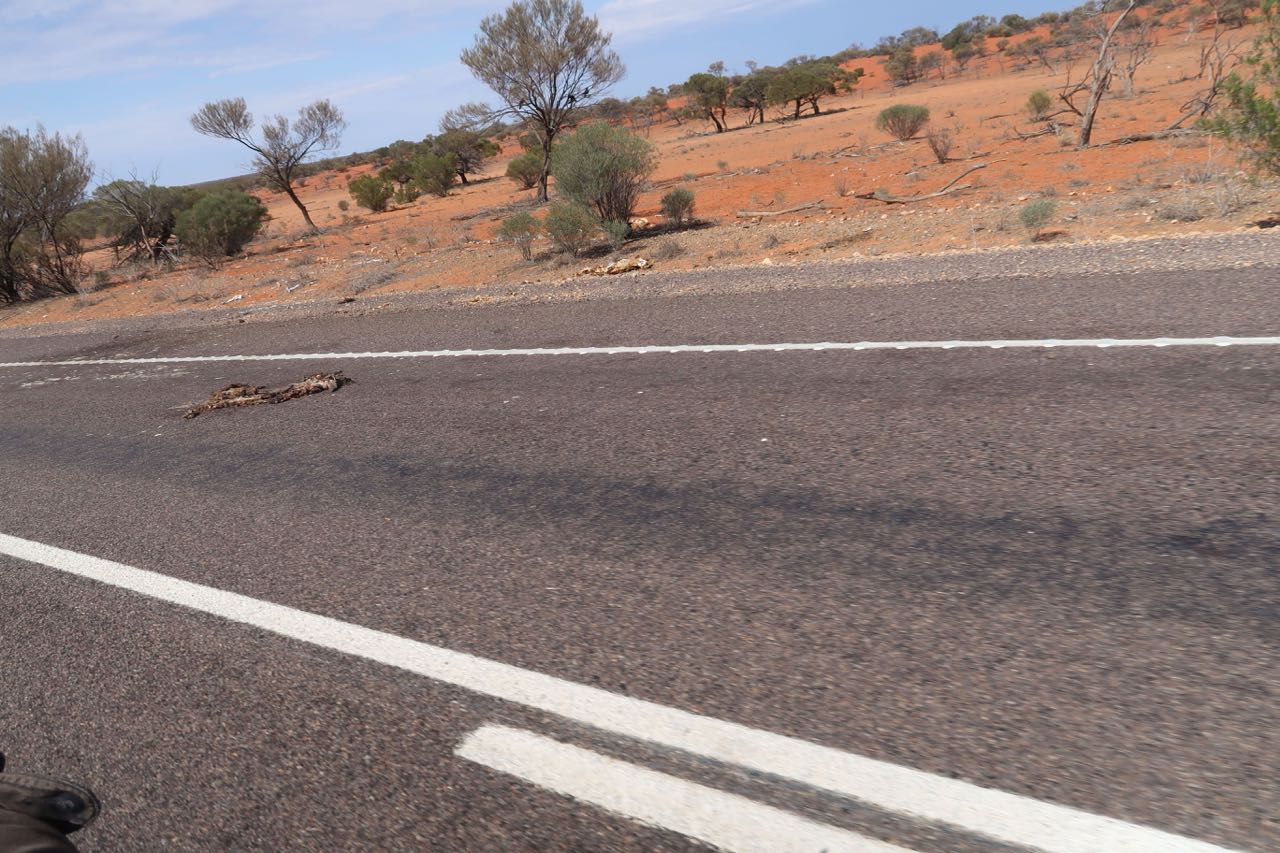 Glendambo Roadhouse, South Australia to Wudinna, South Australia ...
